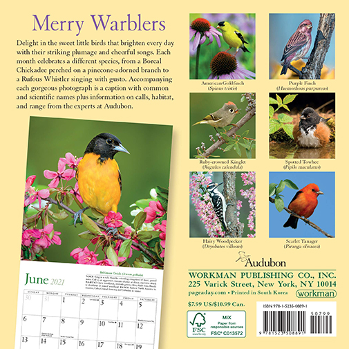 Nature Calendars and Wild Birds Holiday Greeting Cards