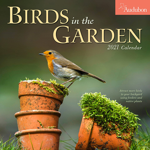 Nature Calendars and Wild Birds Holiday Greeting Cards