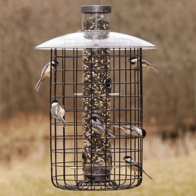 Droll Yankees Domed Cage Feeders - The Backyard NaturalistWild Bird ...