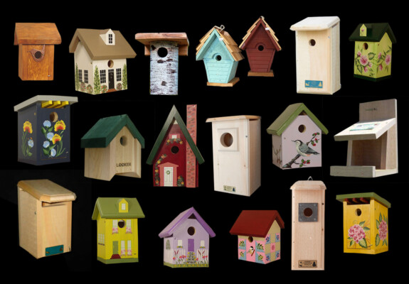 Wild Bird Houses - The Backyard Naturalist