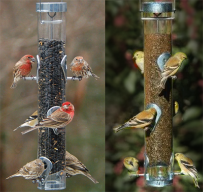 Droll Yankees Classic Tube Feeders - The Backyard Naturalist