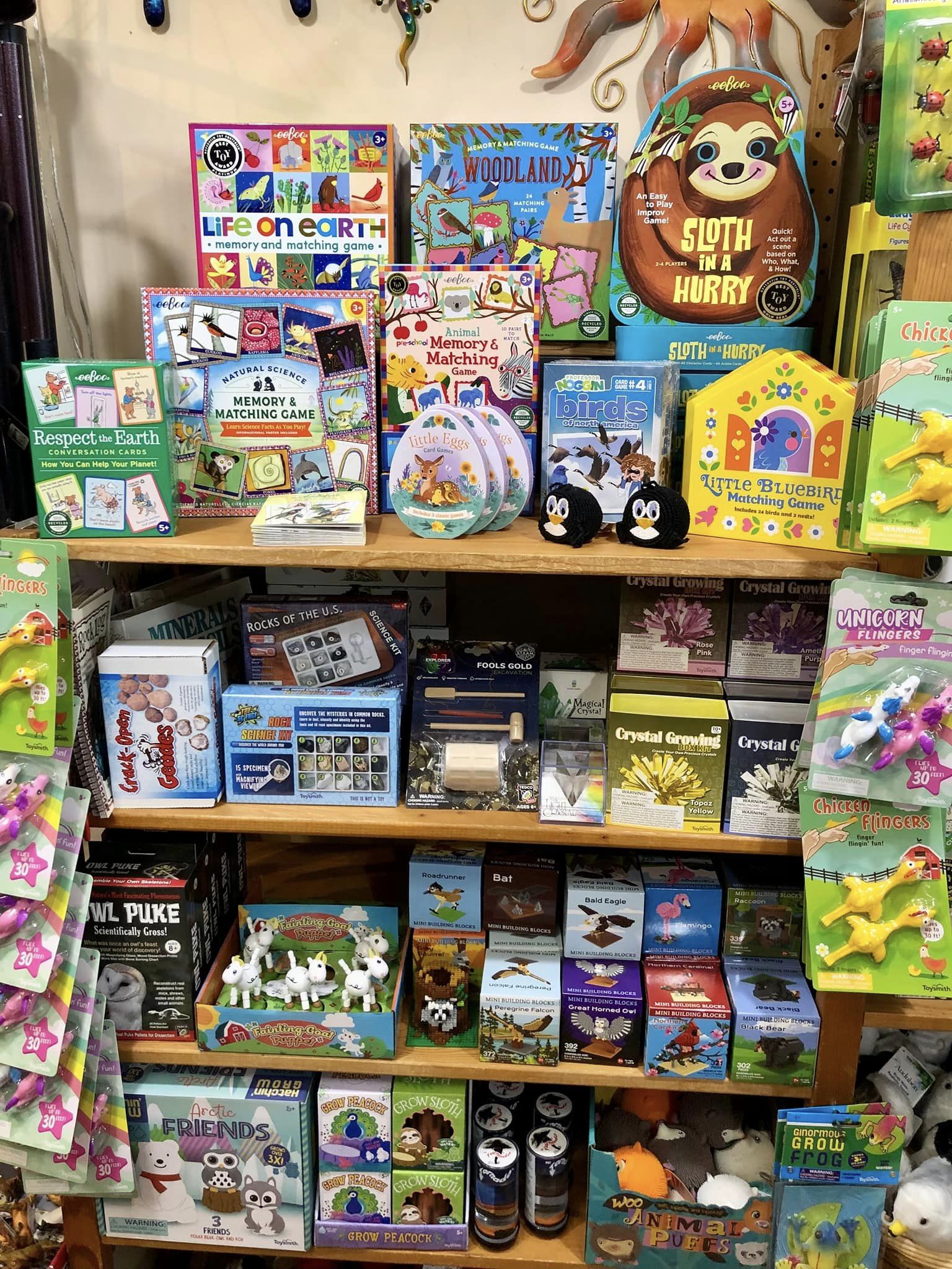 Earth Science Projects & Kits - The Backyard Naturalist