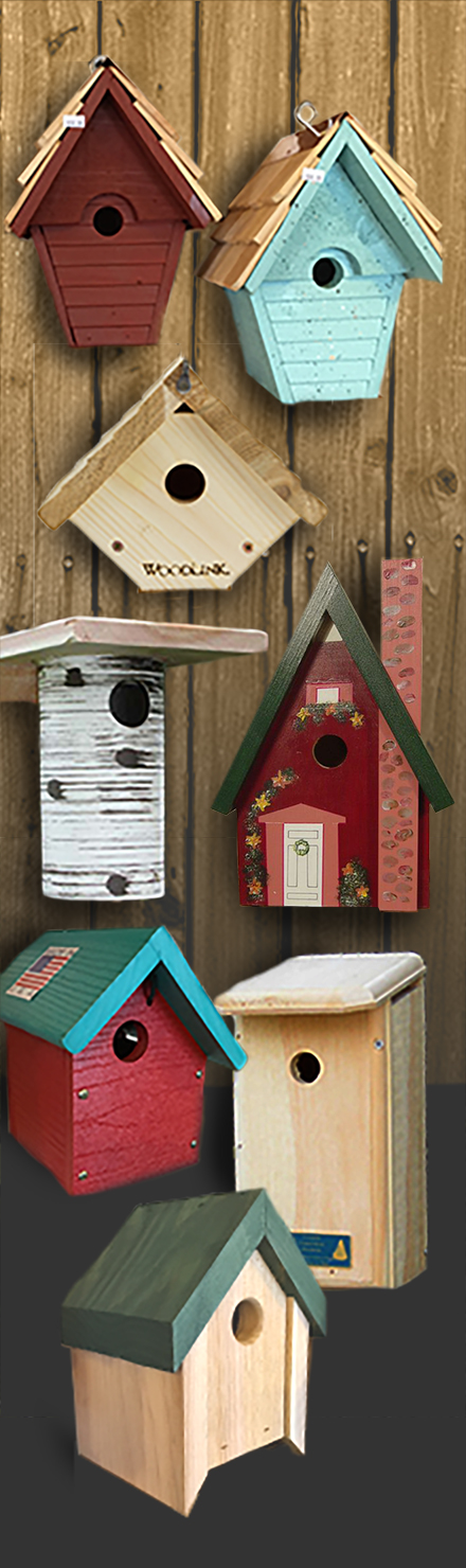 The Backyard Naturalist’s Guide to Bird Houses and Recommended ...