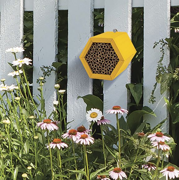 Bee Houses, Books and More - The Backyard NaturalistWild Bird Feeding ...