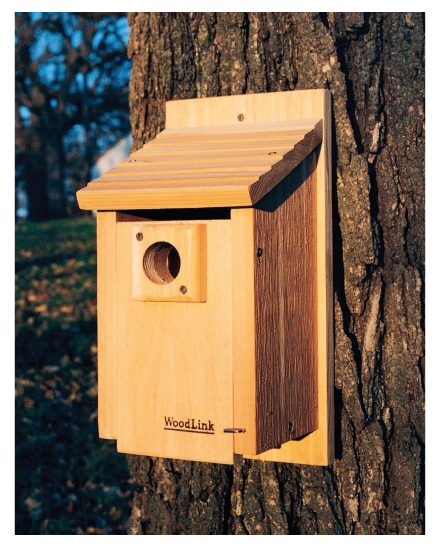 Traditional Wooden Bluebird Nesting Boxes - The Backyard Naturalist